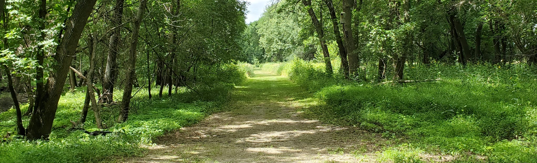 Oneota Park Trail, Iowa - 13 Reviews, Map | AllTrails