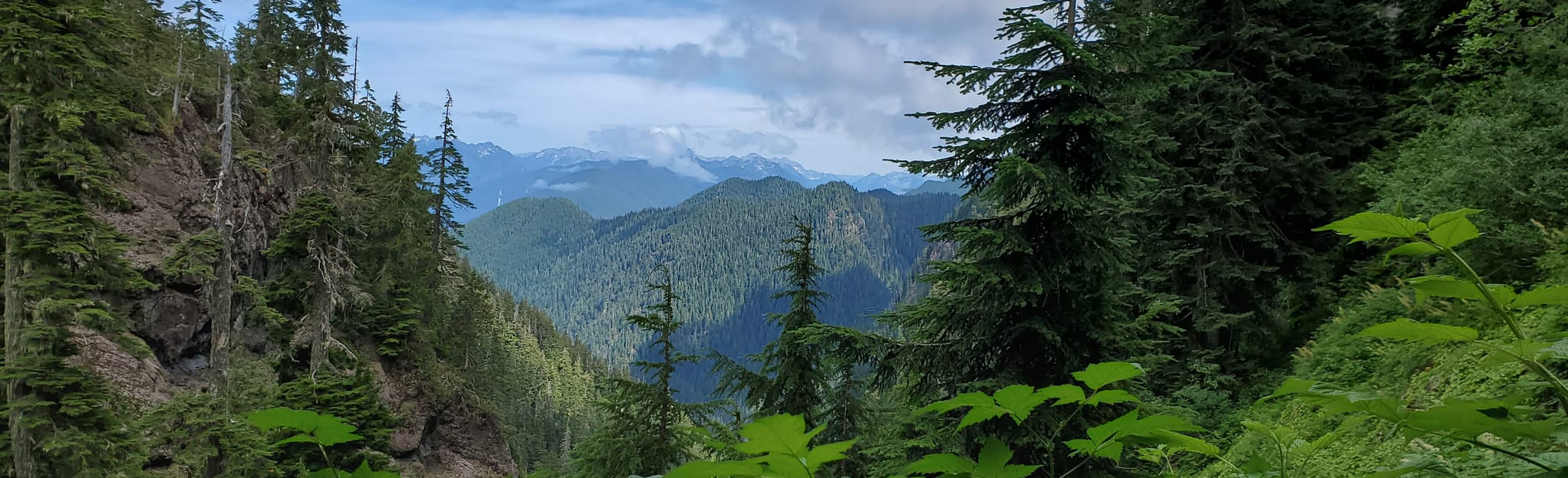 Colonel Bob Trail - Washington | AllTrails