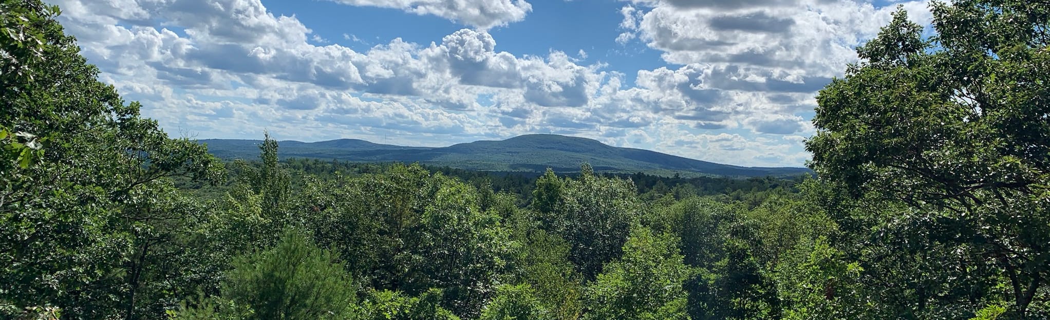 May Street, Monoosnoc Ridge, and Mary Albertson Trail Loop: 29 Reviews ...