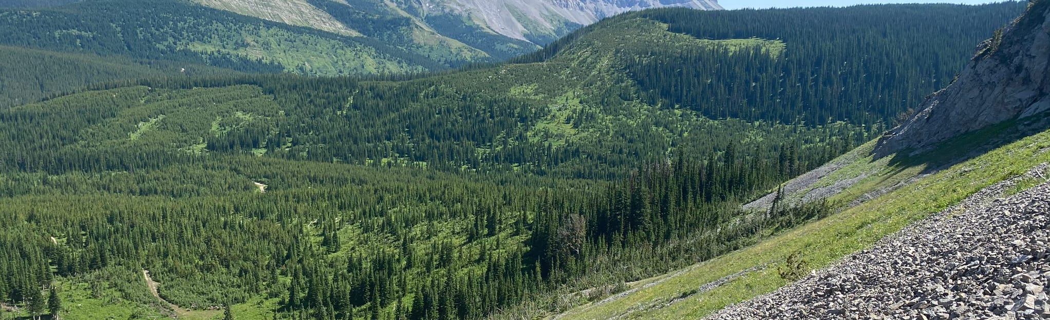 Window Mountain, Alberta, Canada - 38 Reviews, Map | AllTrails