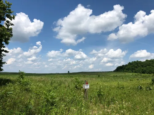 Best Hikes and Trails in Sand Ridge State Forest | AllTrails