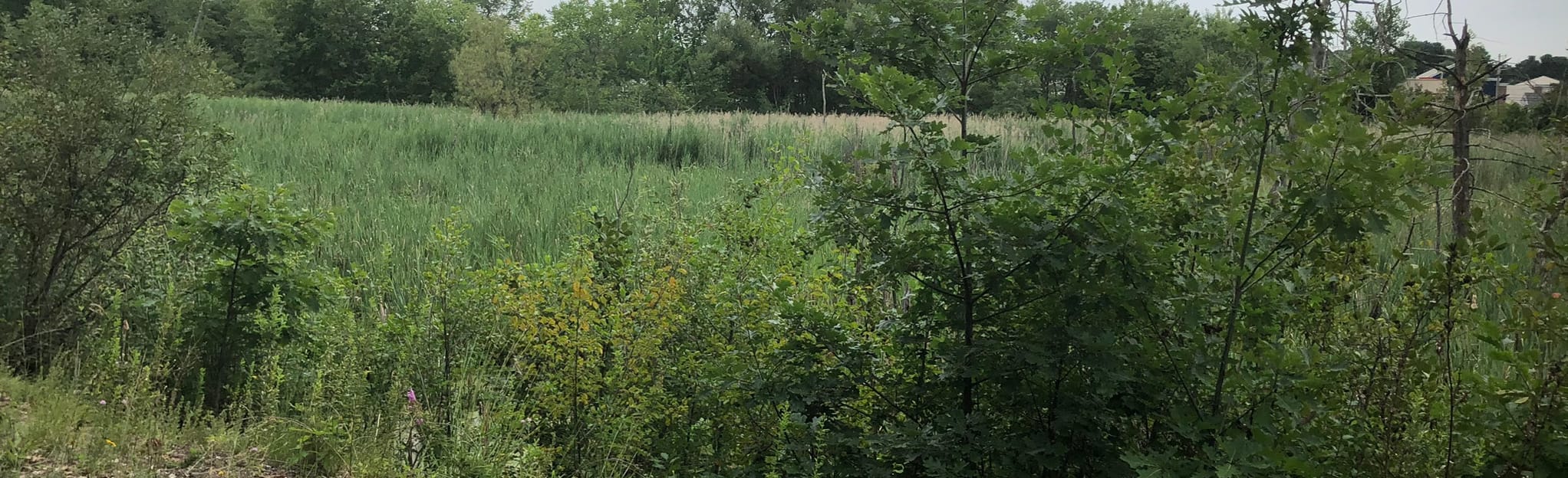 Methuen Rail Trail From Hampshire Road: 218 Reviews, Map ...