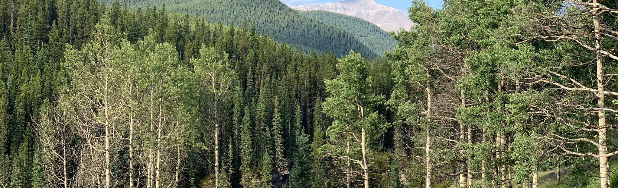 South Volcano Ridge and Link Creek Loop, Alberta, Canada - 123 Reviews ...