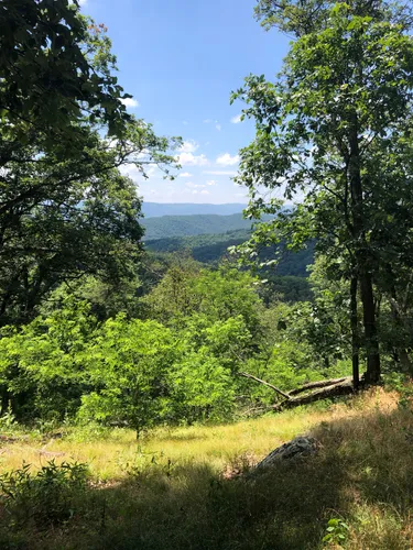 Best Hikes and Trails in Lost River State Park | AllTrails