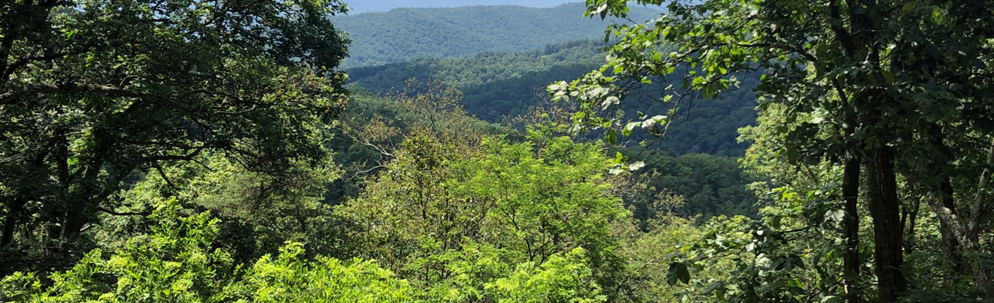 White Oak Trail to Cranny Crow Overlook, West Virginia - 499 Reviews ...