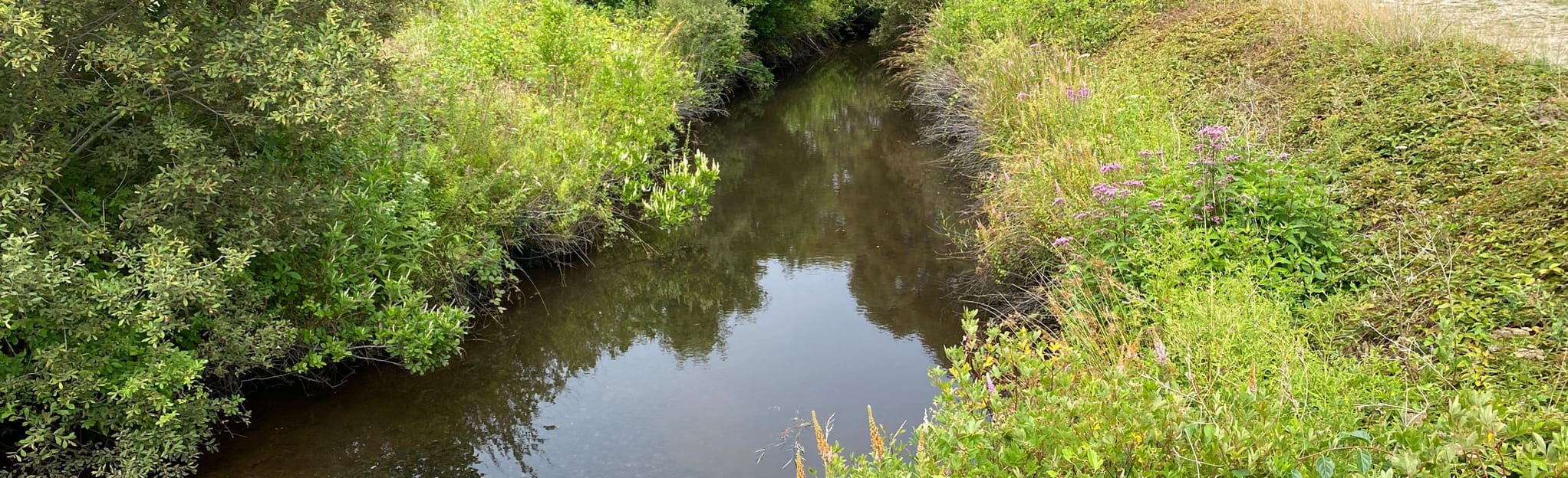 Robert F. Smith Cold Brook Preserve Trail Loop, Massachusetts - 267 ...