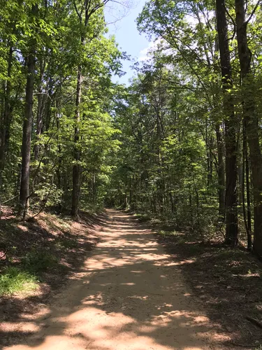 10 Best Hikes and Trails in Prentice Cooper State Forest | AllTrails