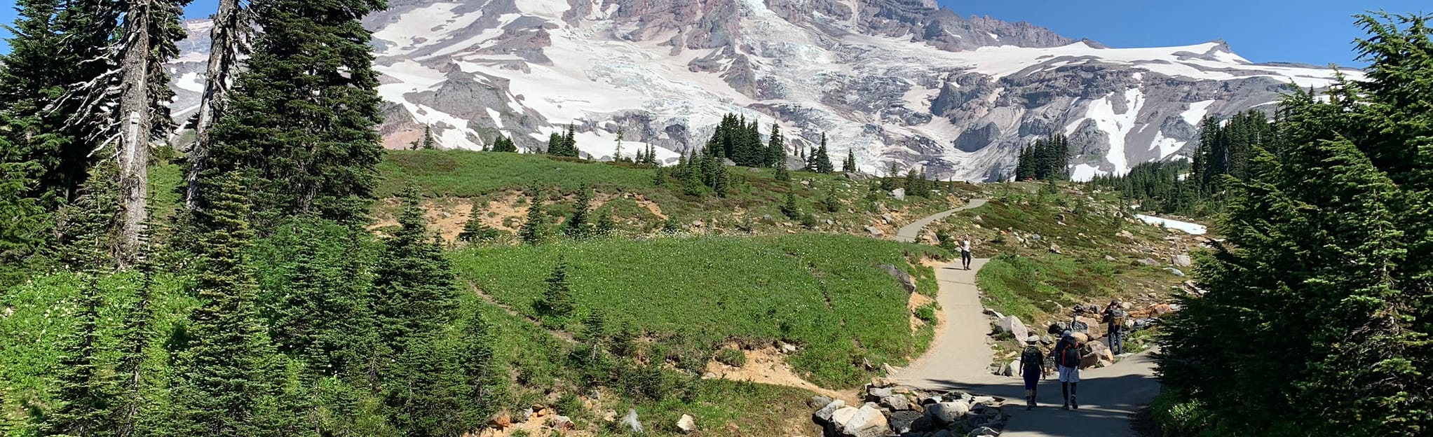 Camp Muir Route via Skyline Trail - Washington | AllTrails