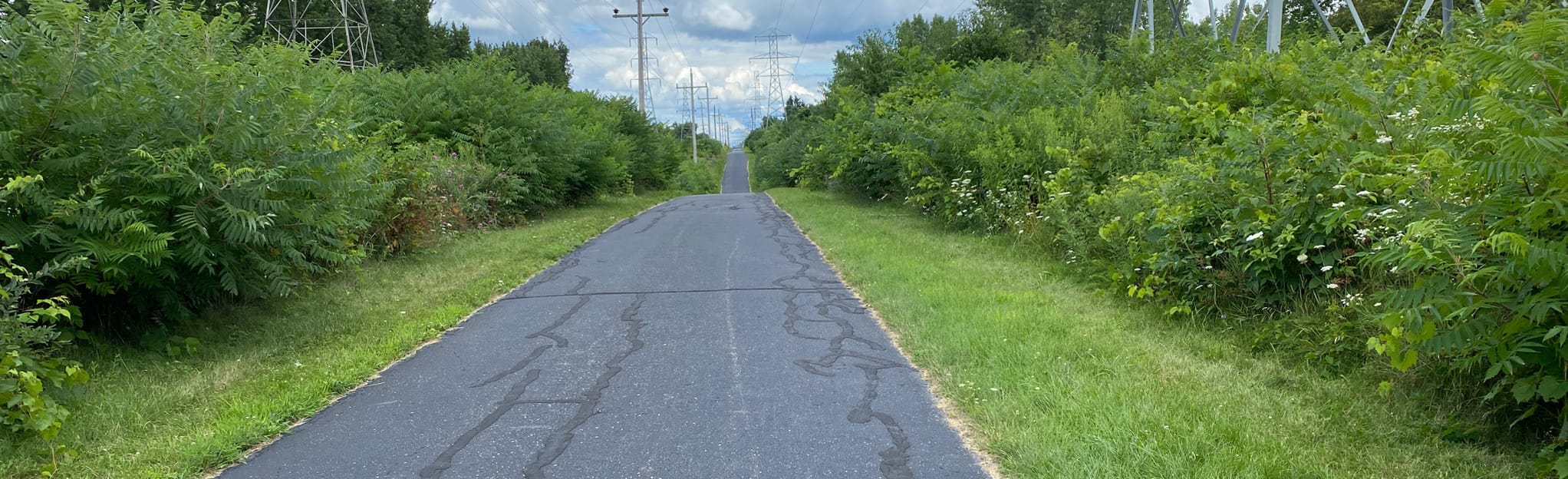 Fred Meijer Standale Trail: 66 Reviews, Map - Michigan | AllTrails