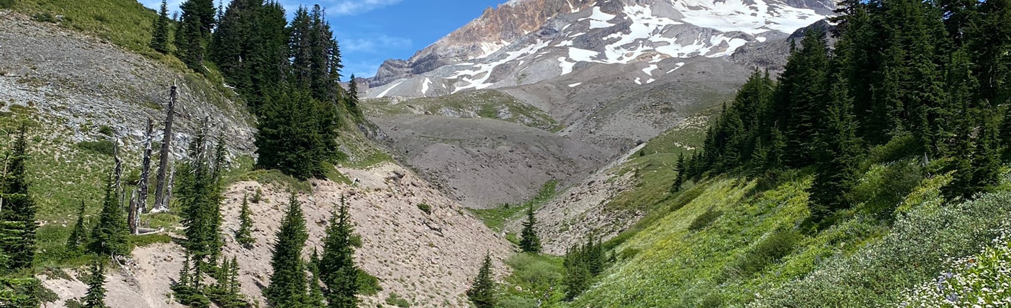 Paradise Park Trail #778, Oregon - 226 Reviews, Map | AllTrails