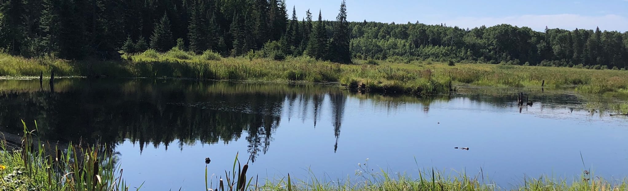 Falcon South Shore Trail: 93 foto's - Manitoba, Canada | AllTrails