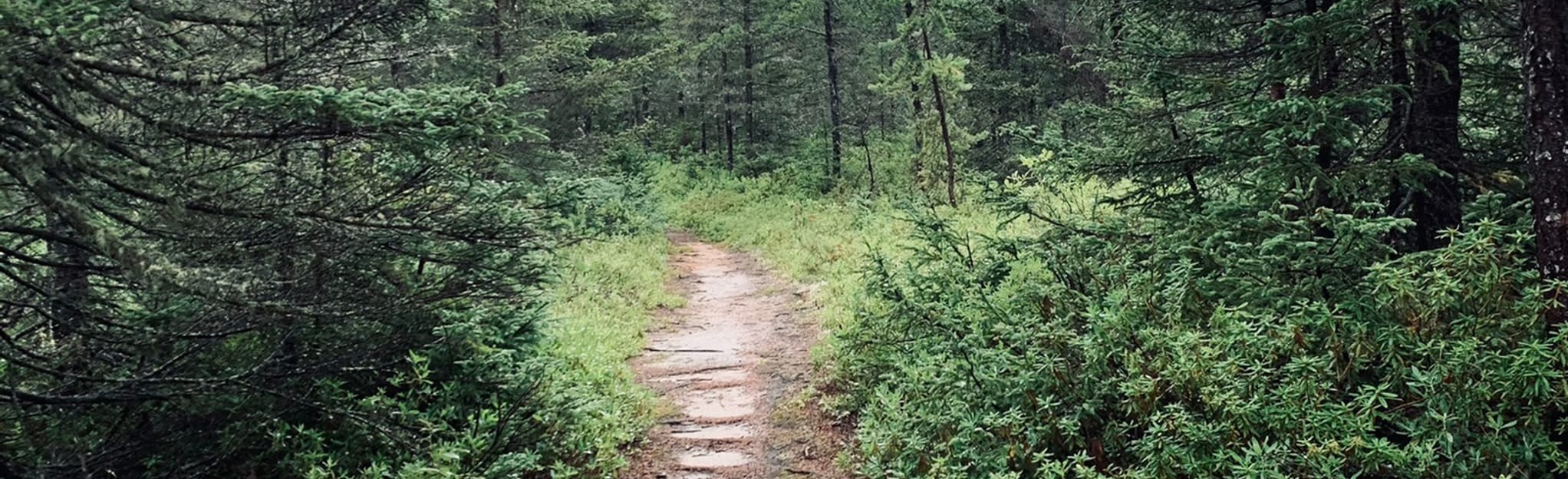 Rivière Amédée and Île du Colon Loop: 22 Reviews, Map - Quebec, Canada ...