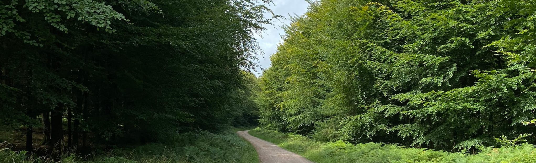 Mendips Circular: 238 Reviews, Map - Somerset, England | AllTrails