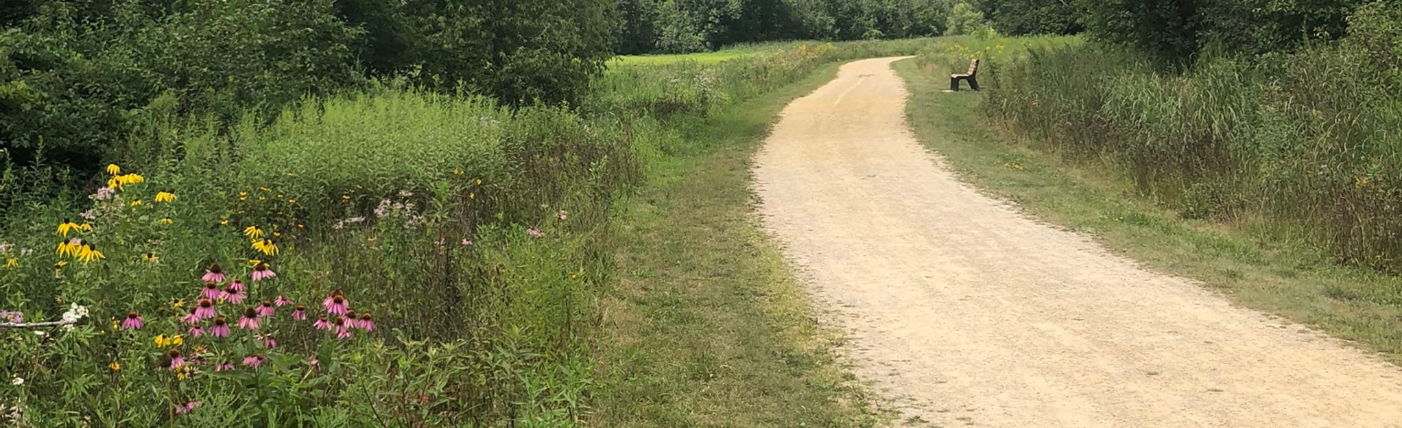 Belleville Community Park Trail, Wisconsin - 53 Reviews, Map | AllTrails