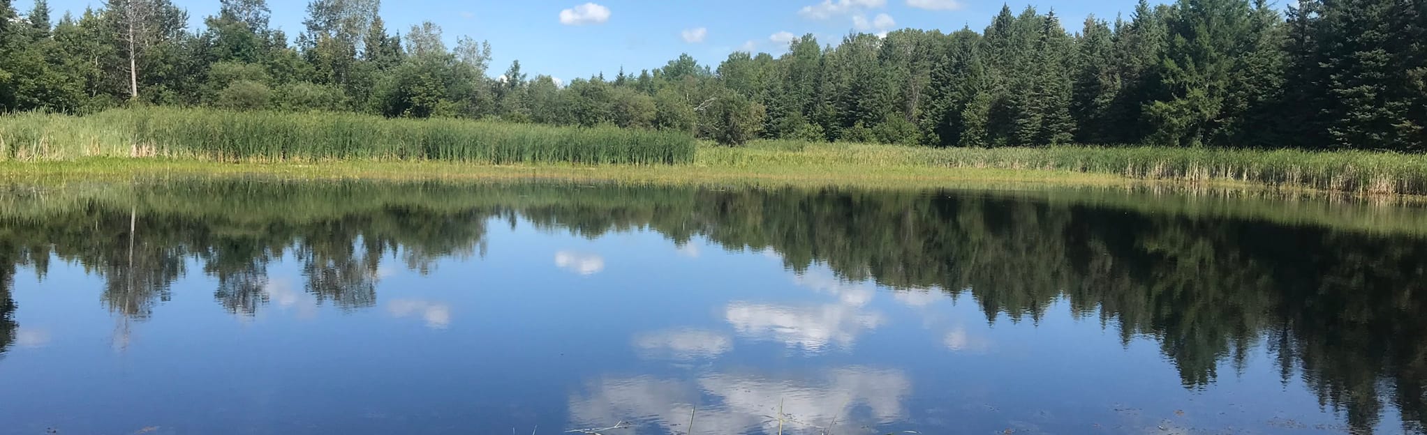 Pinawa Trails - Natalie Lake, Manitoba, Canada - 20 Reviews, Map ...