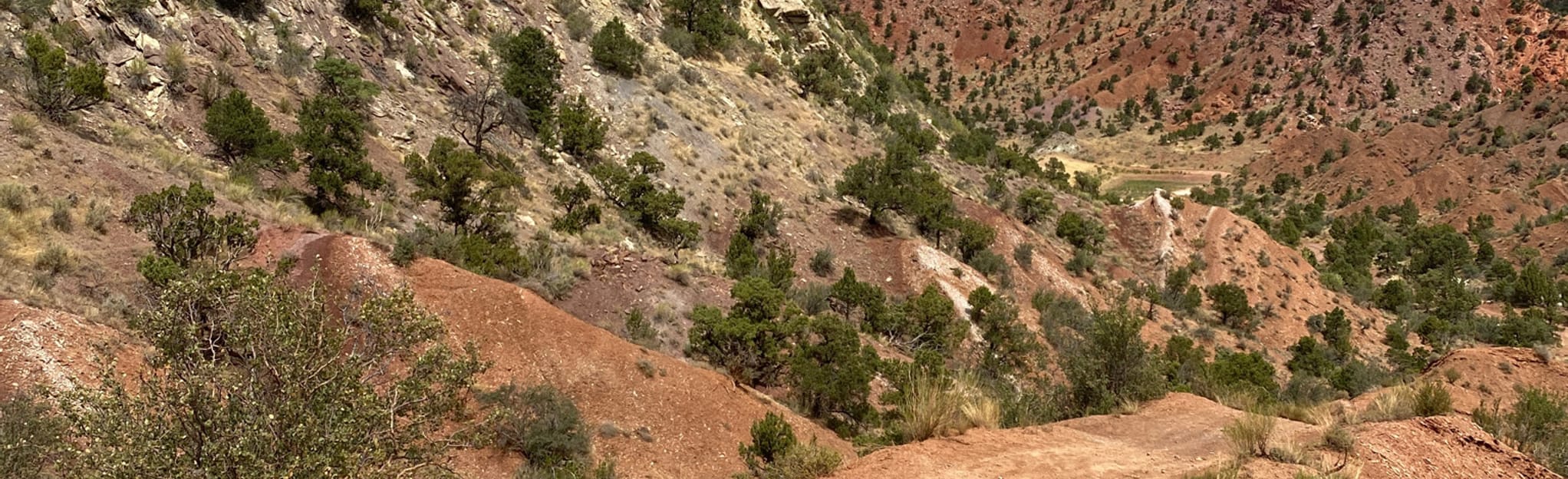 Alex Canyon Trail, Utah - 36 Reviews, Map | AllTrails