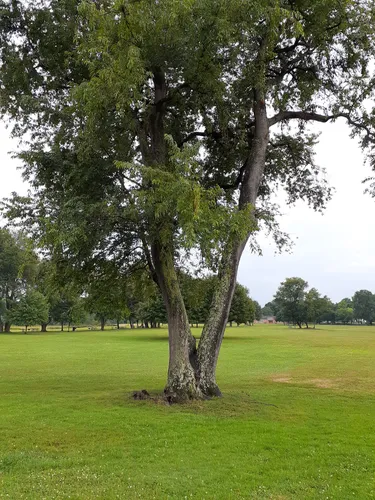 Best Hikes and Trails in Goodyear Heights Metro Park | AllTrails