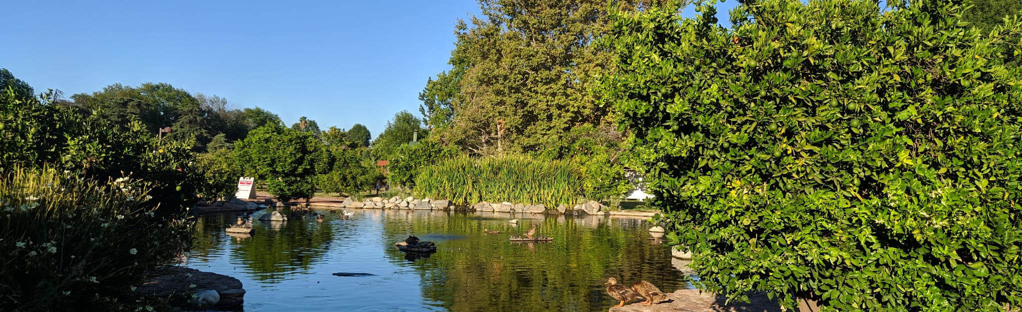 Matador Walk at CSUN, California - 119 Reviews, Map | AllTrails