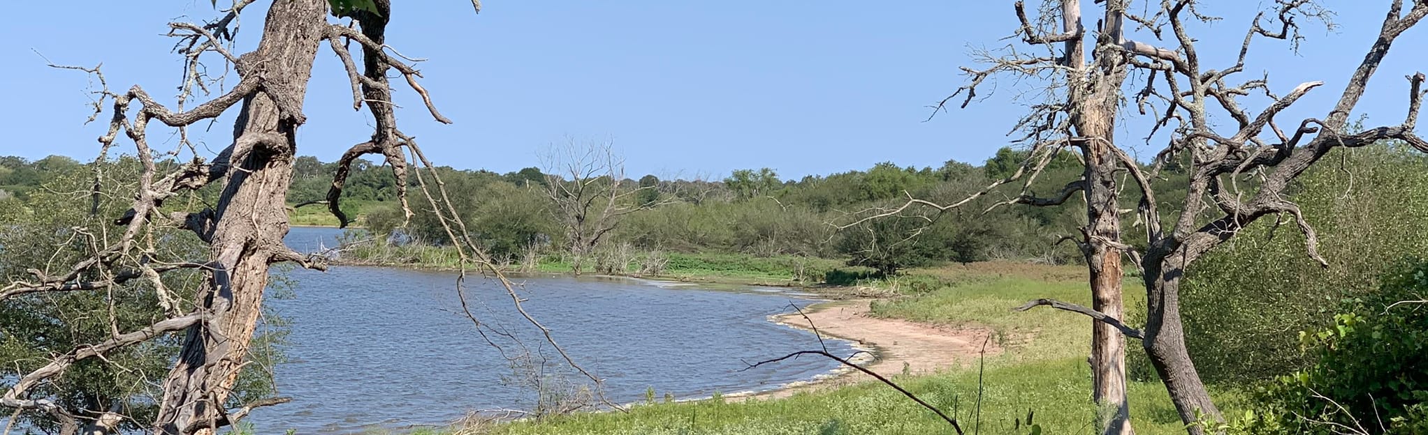 Wolf Pond Primitive Site, Texas - 104 Reviews, Map | AllTrails