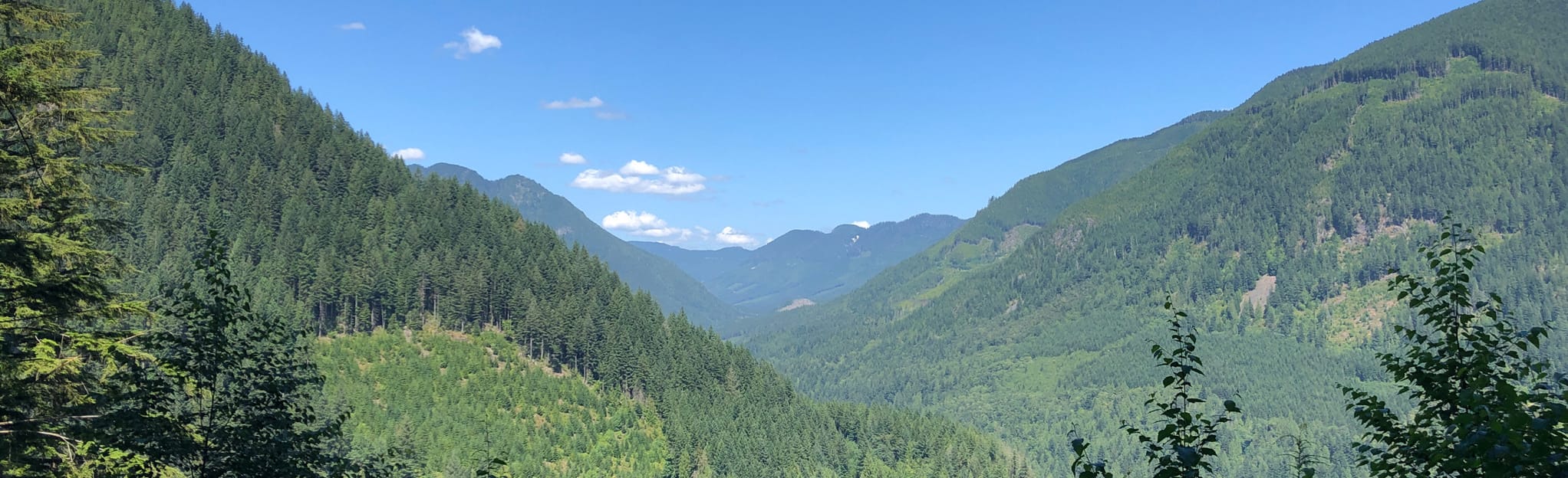 Dewdney Cabin North Trail: 73 Reviews, Map - British Columbia, Canada ...