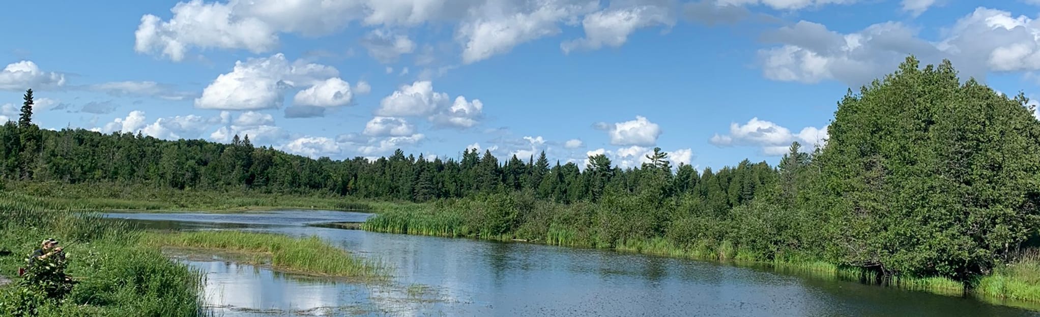 Hogsback Road, Ontario, Canada - 24 Reviews, Map | AllTrails