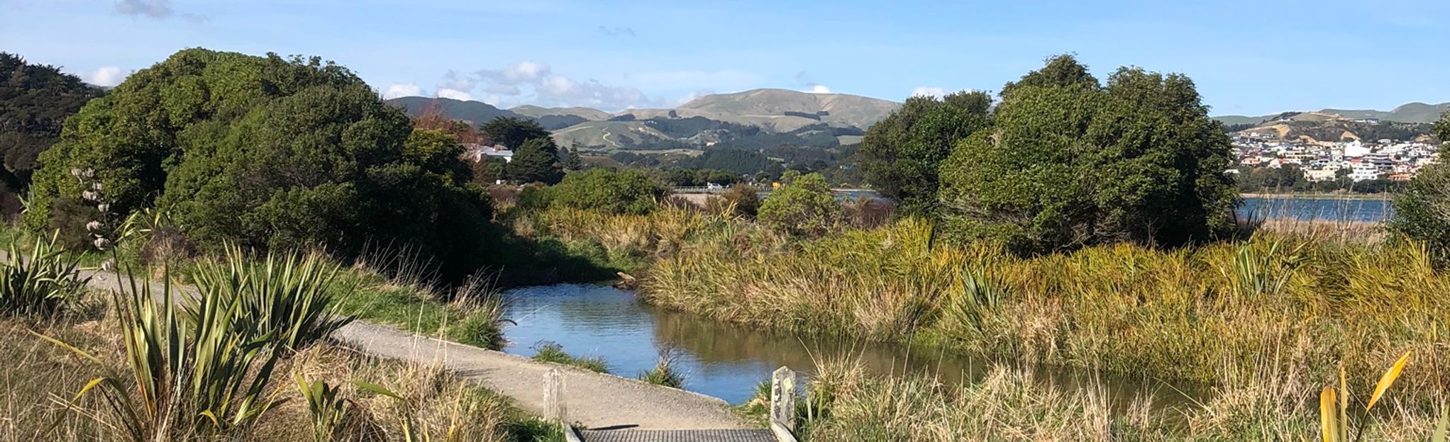 Te Ara Piko - The Meandering Path Walkway, Wellington, New Zealand - 38 ...