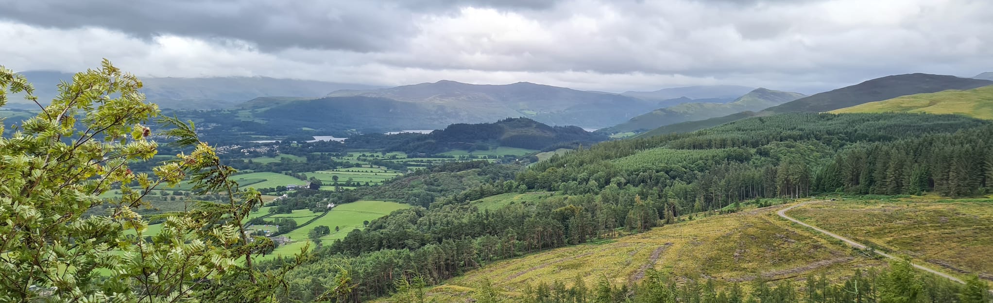 Whinlatter North Loop: 72 Reviews, Map - Cumbria, England | AllTrails