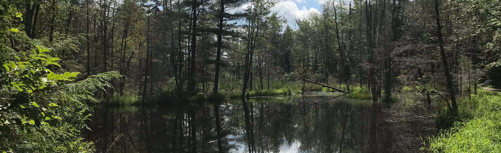 Mount Watatic and Nutting Hill via Wapack Trail: 2422 Reviews, Map ...