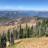 Wenatchee Yellow Hill Trail #1222, Washington - 8 Reviews, Map | AllTrails