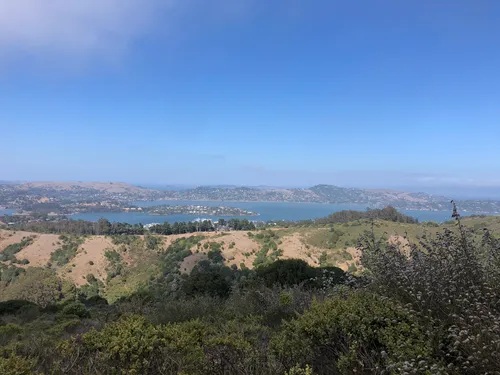10 Best Hikes and Trails in Marin Headlands | AllTrails