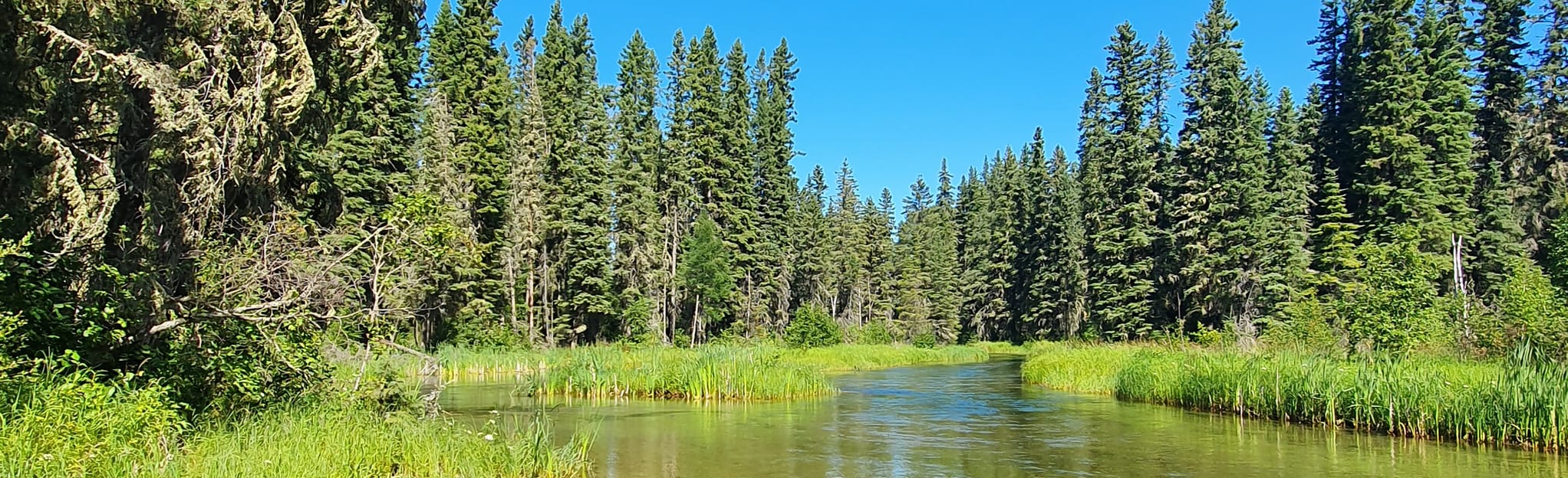 Kingsmere River Trail , Saskatchewan, Canada - 34 Reviews, Map | AllTrails