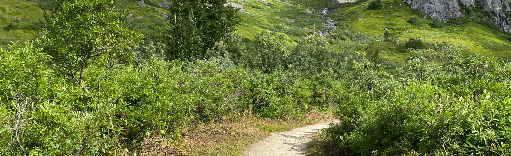Snowbird Mine and Glacier Pass Trail, Alaska - 143 Reviews, Map | AllTrails