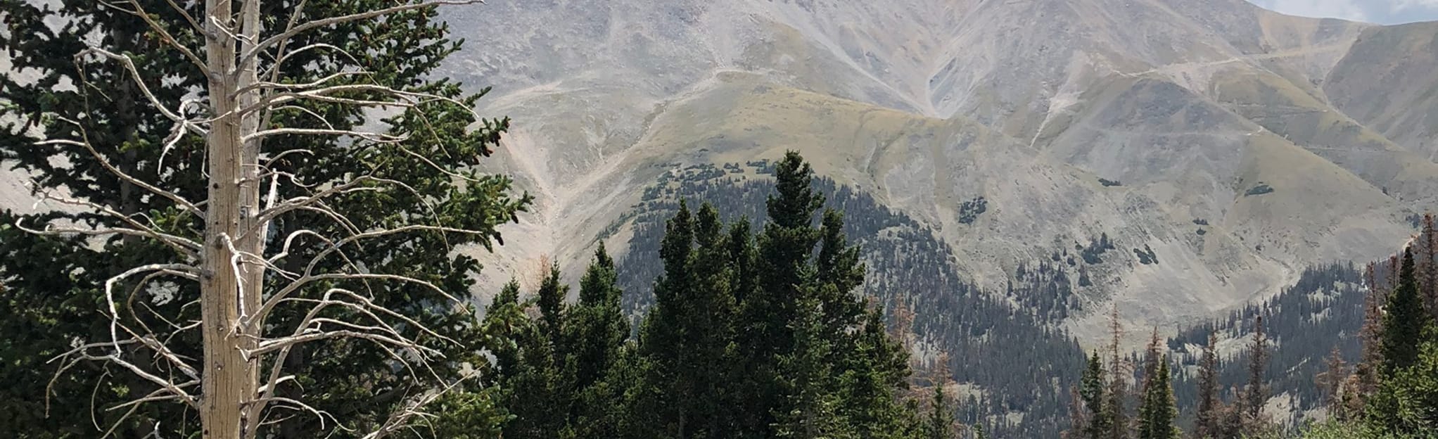 Boulder Mountain Trail: 11 Reviews, Map - Colorado | AllTrails