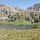 Mica Basin Trail, Colorado - 161 Reviews, Map | AllTrails