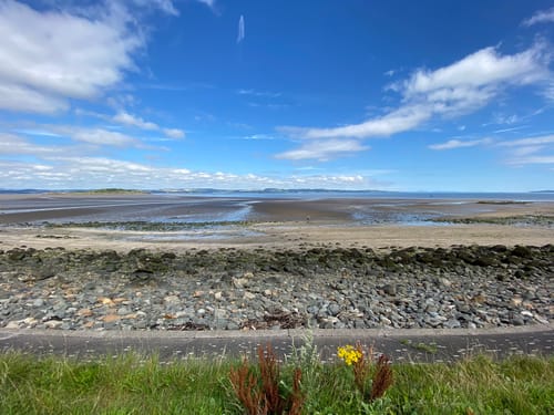 2023 Best 10 Forest Trails in Edinburgh | AllTrails