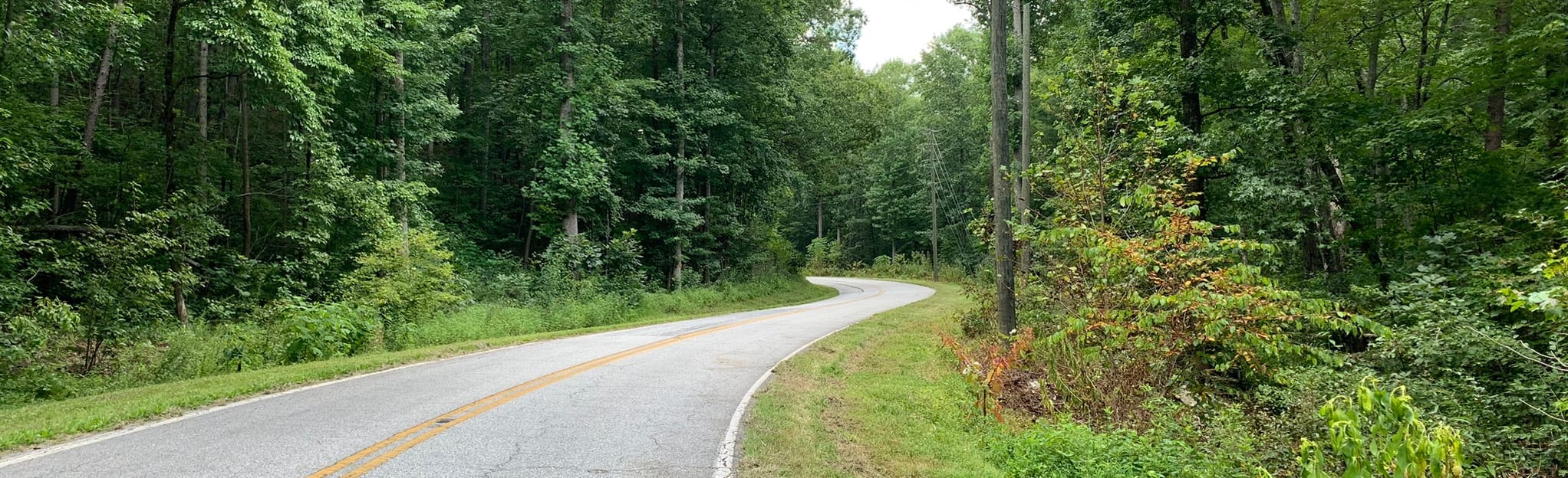 Chesnut Ridge Service Road around Squirrel Mountain, South Carolina ...