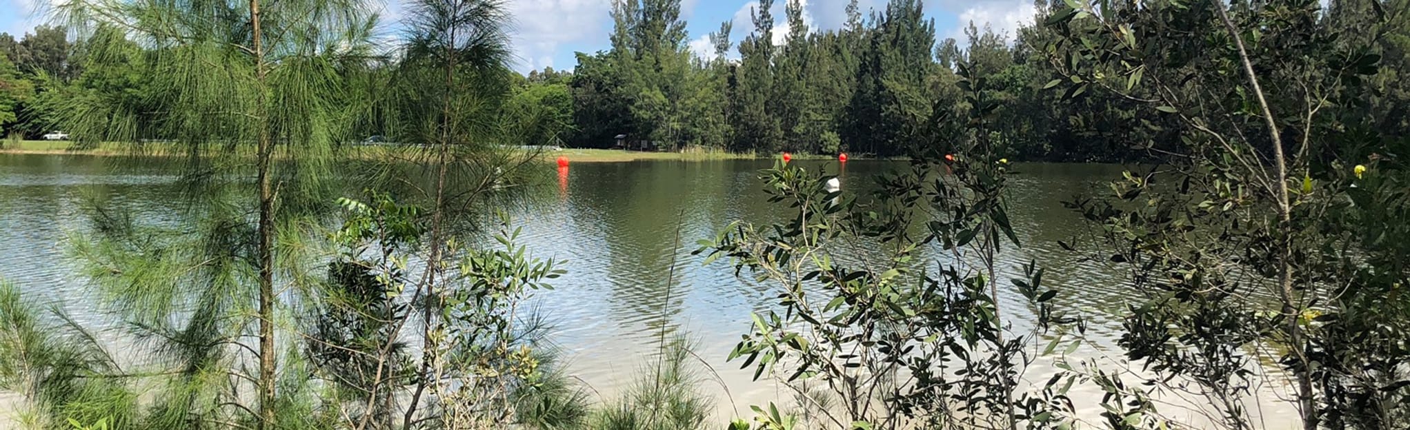 Markham Park: Adaptive Loop, Florida - 52 Reviews, Map | AllTrails