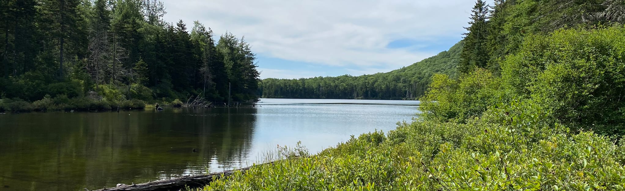 Webster Slide Mountain via Wachipauka Pond Trail , New Hampshire - 122 ...