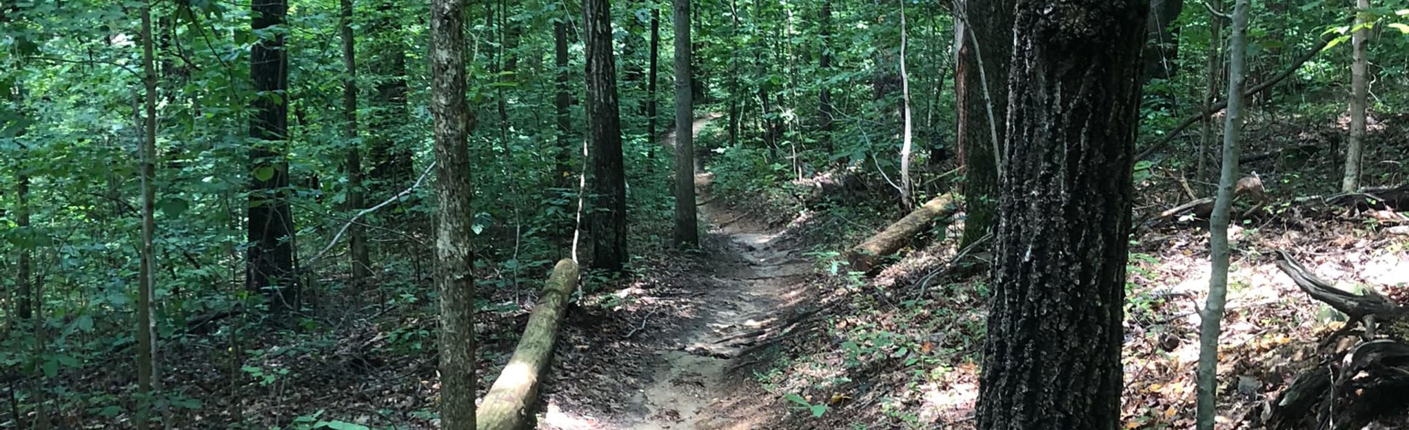 Hobby Park Trail, North Carolina - 469 Reviews, Map | AllTrails