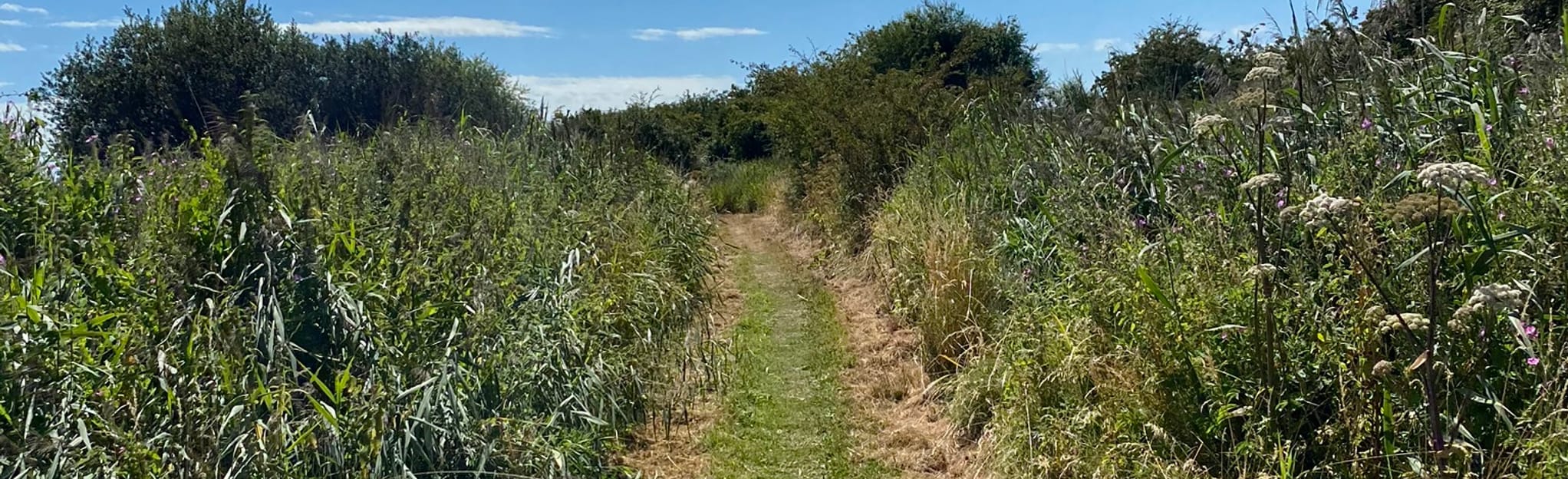 Sandwich - Fordwich, Kent, England - 2 Reviews, Map | AllTrails