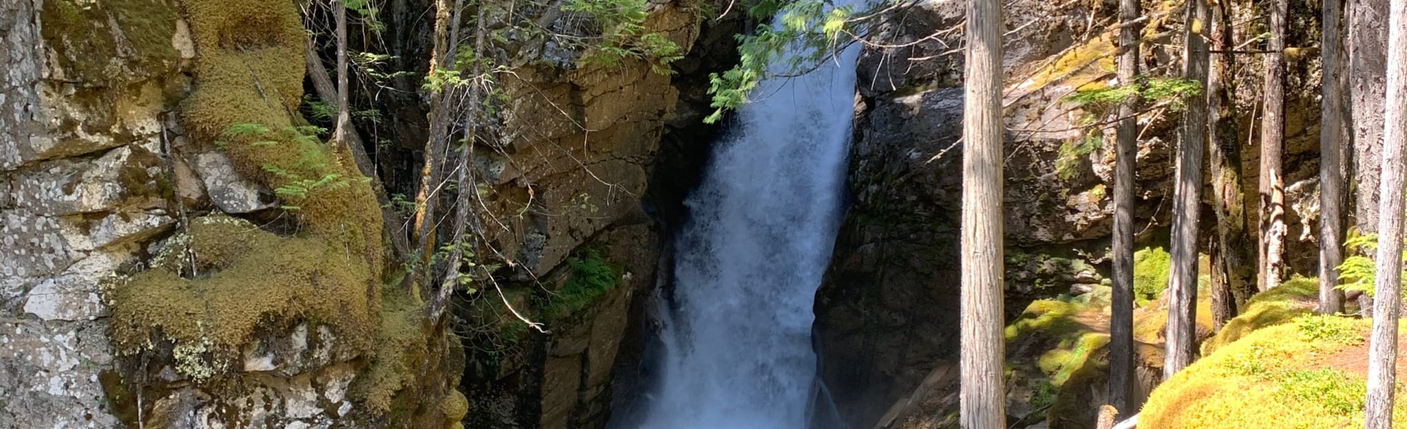 Nemo Creek Trail: 33 Fotos - British Columbia, Kanada | AllTrails