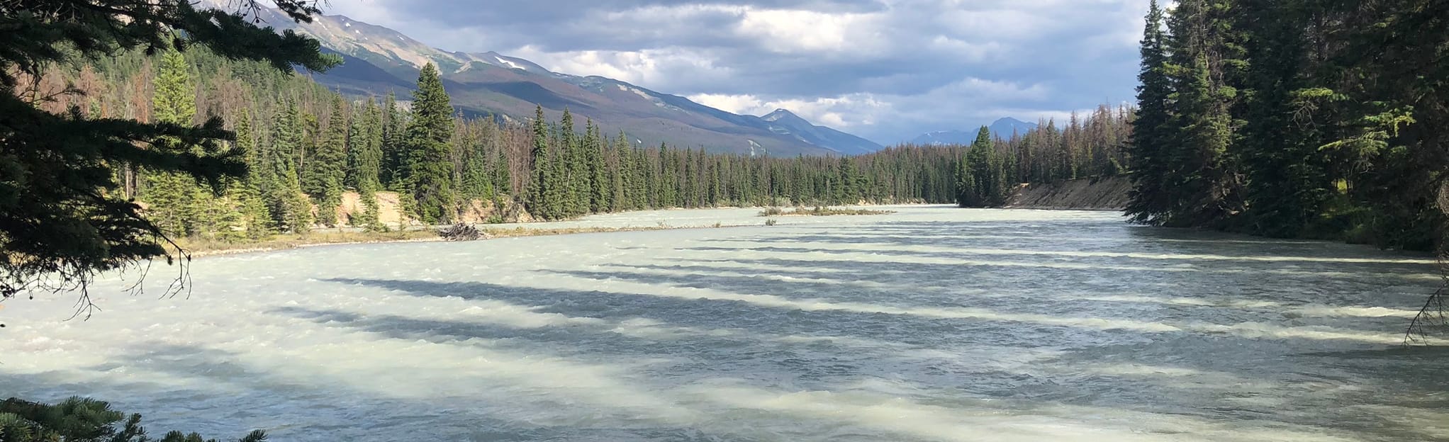 Wapiti Campground Trail, Alberta, Canada - 58 Reviews, Map | AllTrails