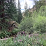 Weston Pass Road, Colorado - 134 Reviews, Map | AllTrails