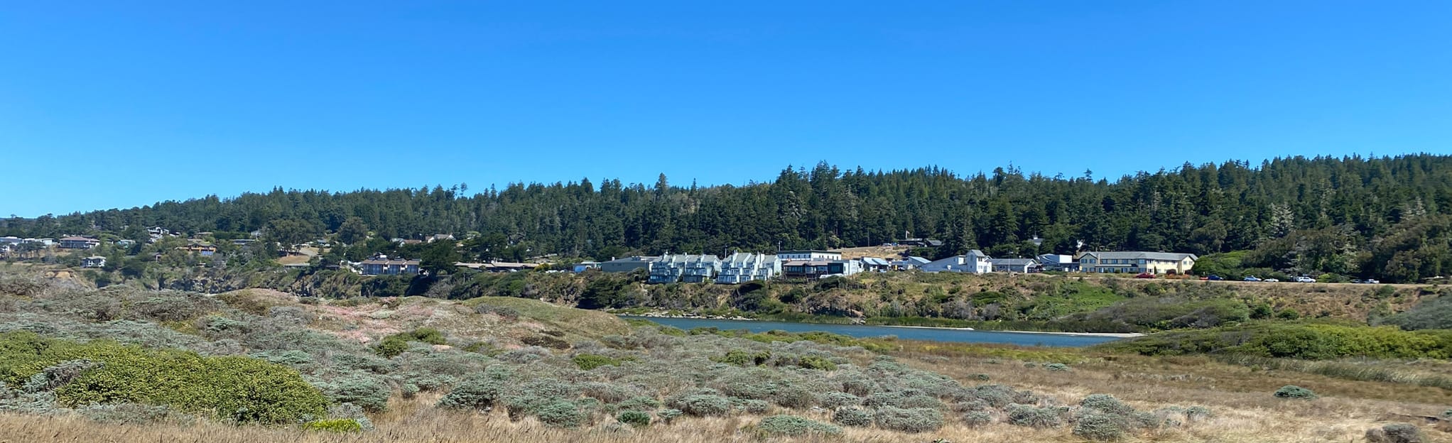 Gualala Point Loop: 179 Reviews, Map - California | AllTrails