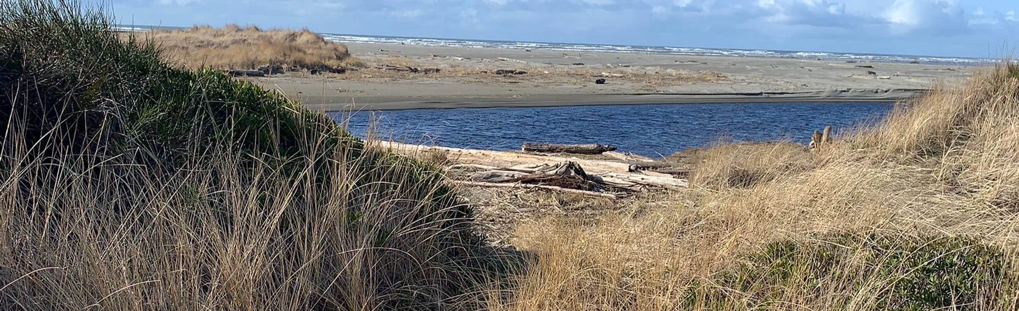 Copalis River Spit Trail, Washington - 133 Reviews, Map | AllTrails