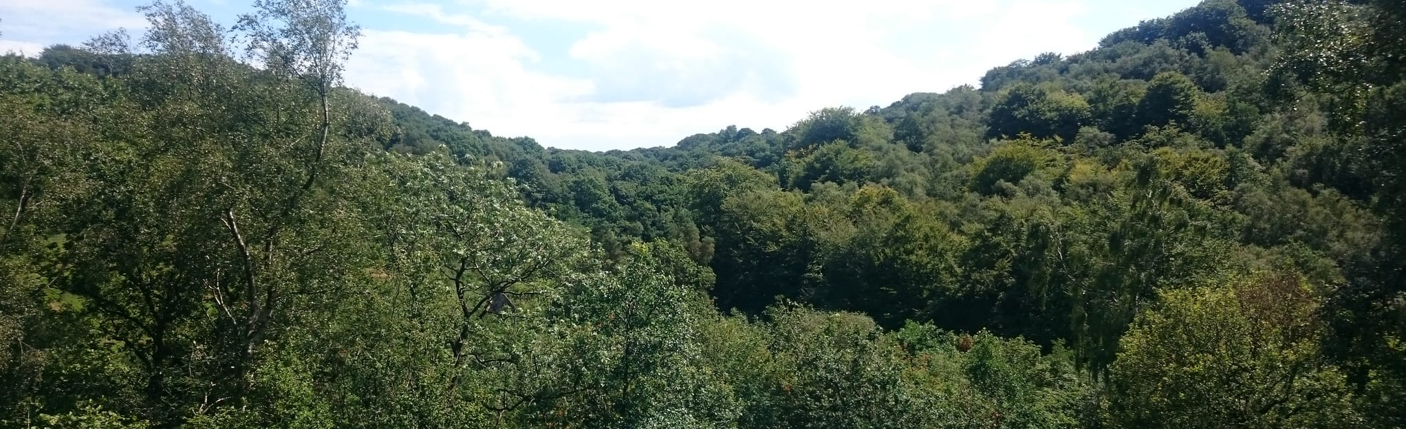 RSPB Coombes Valley: 23 Reviews, Map - Staffordshire, England | AllTrails