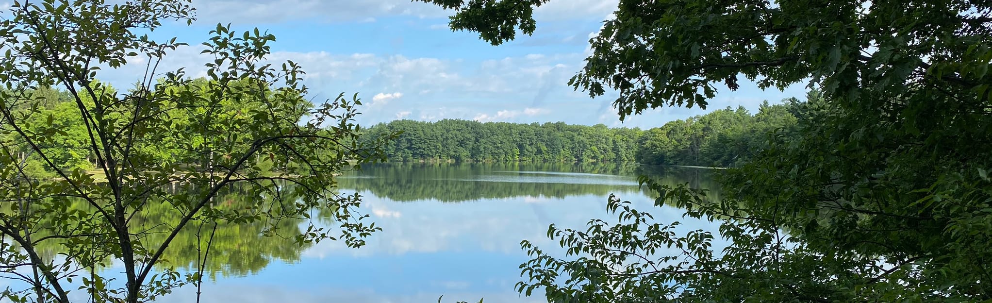 Findley Lake, Ohio - 283 Reviews, Map | AllTrails