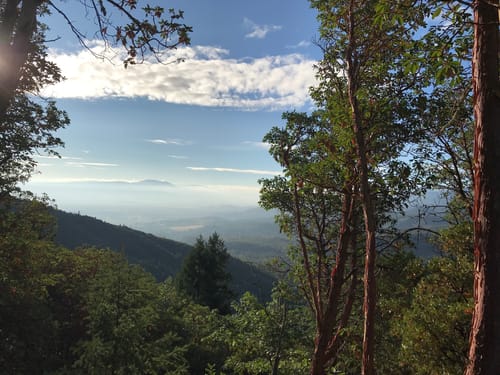 Best Hikes and Trails in Jacksonville Forest Park | AllTrails