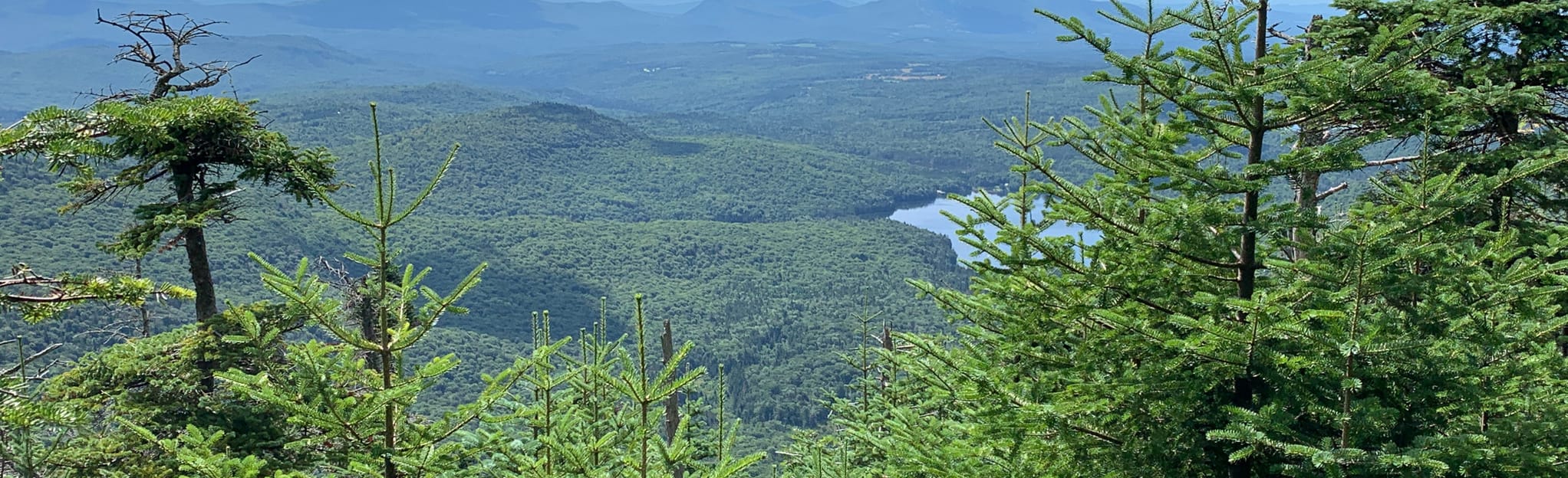 Bald Mountain via Mad Brook Trail, Vermont - 42 Reviews, Map | AllTrails