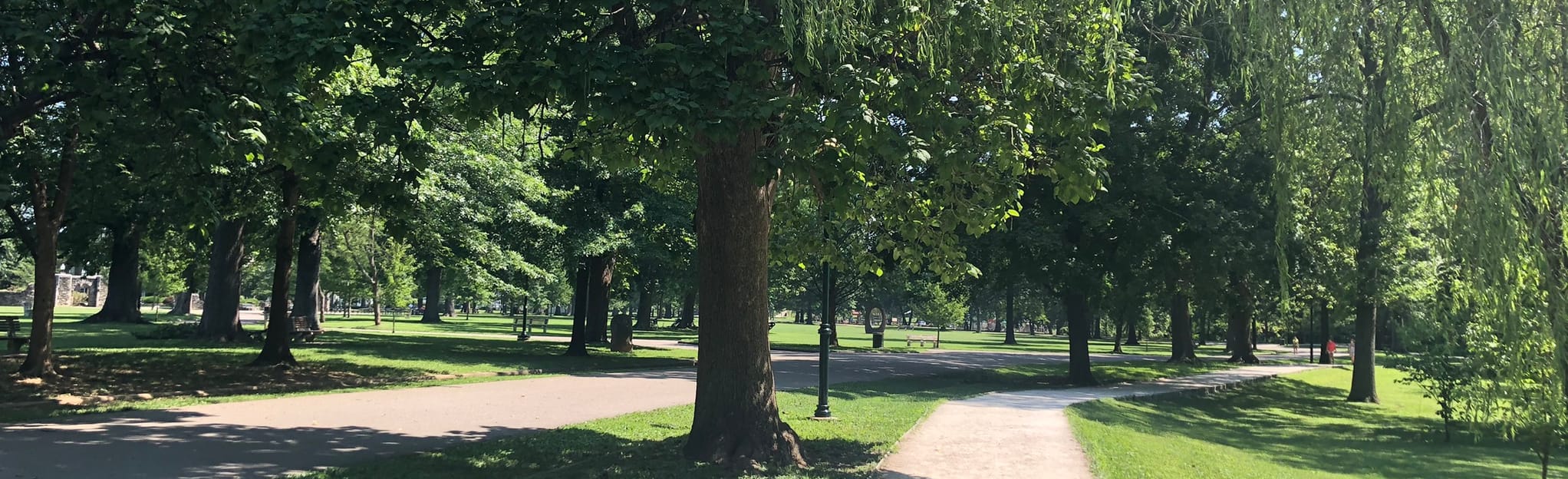 Ritter Park Trail, West Virginia - 166 Reviews, Map | AllTrails